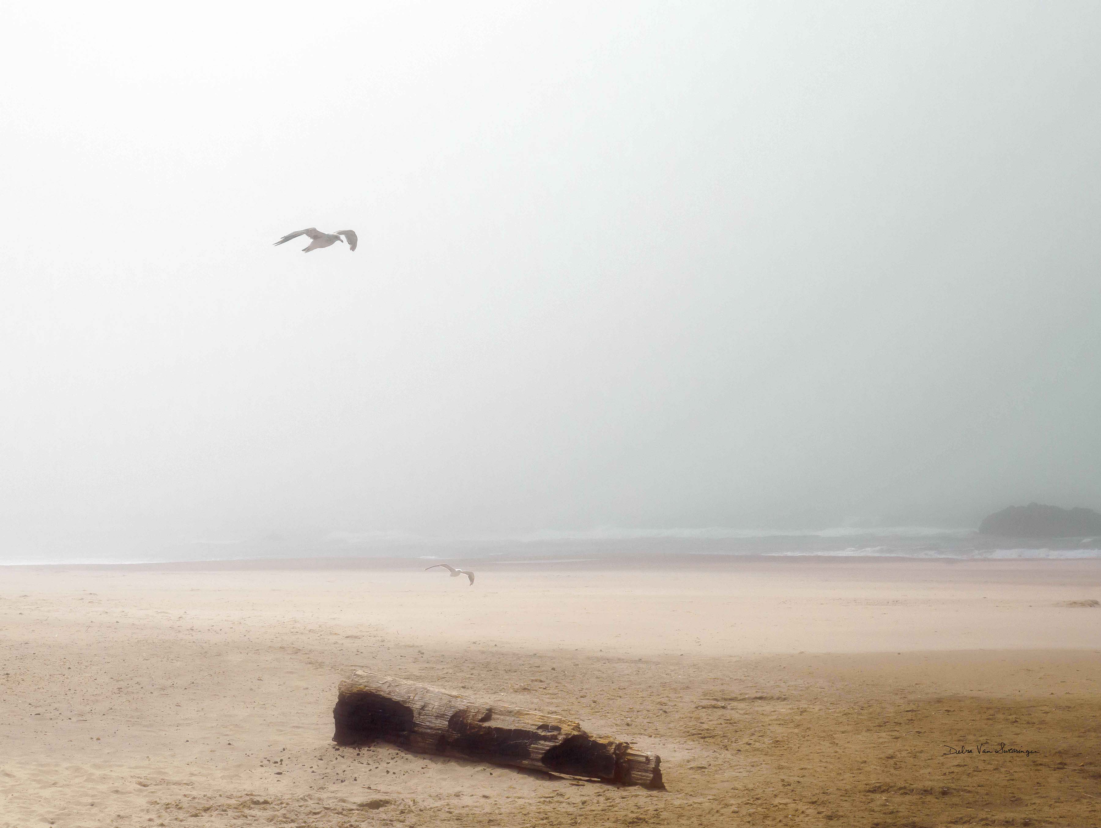 Cold Beach III by Debra Van Swearingen – Coastal Photography Art | Salt ...